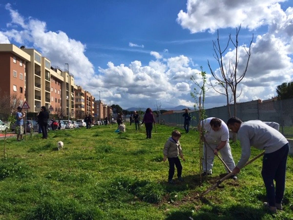 Climate Action Supporter | Voluntariado en Italia 2024