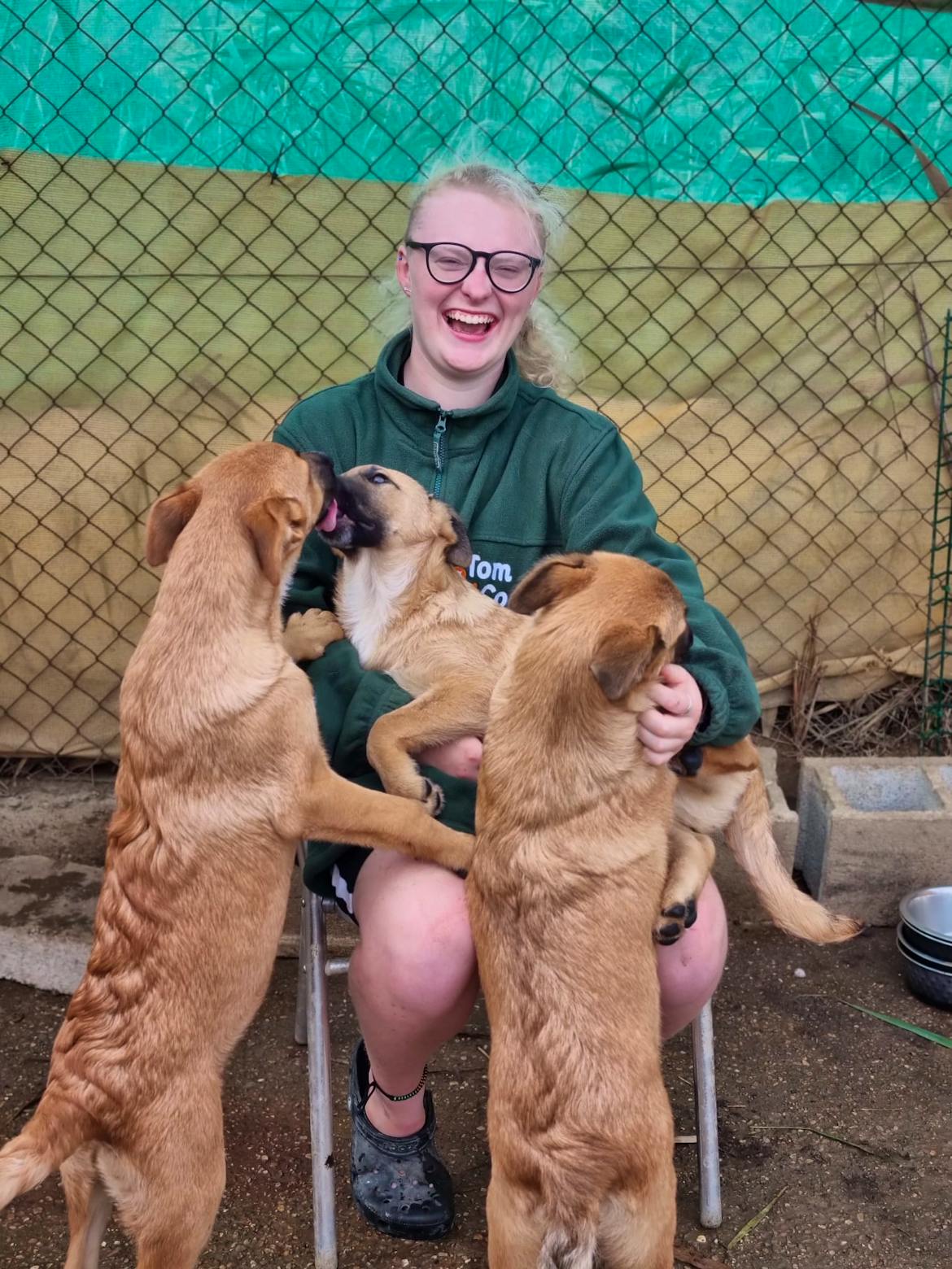 Dog and Cat Shelter Supporter | Volunteer in Spain 2025