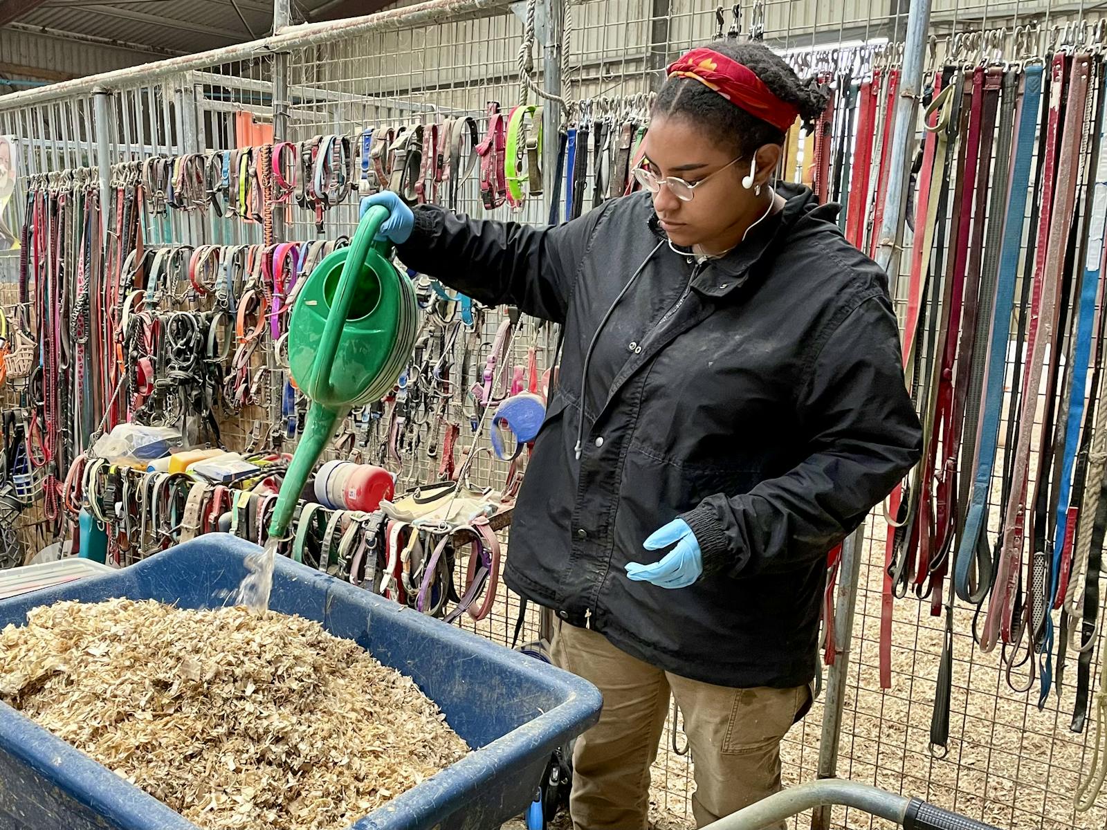 Animal Rescue & Community Development Helper | Volunteer in Ireland 2025