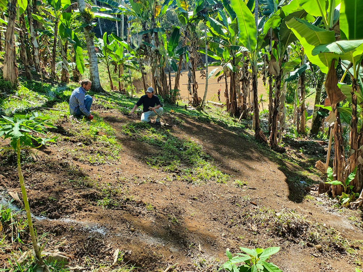 Organic Farming and Building on Eco Lodge | Volunteer in Costa Rica 2025