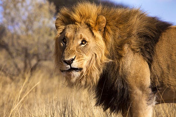 The Great Projects | Volunteer Abroad 2025 | Volunteer World