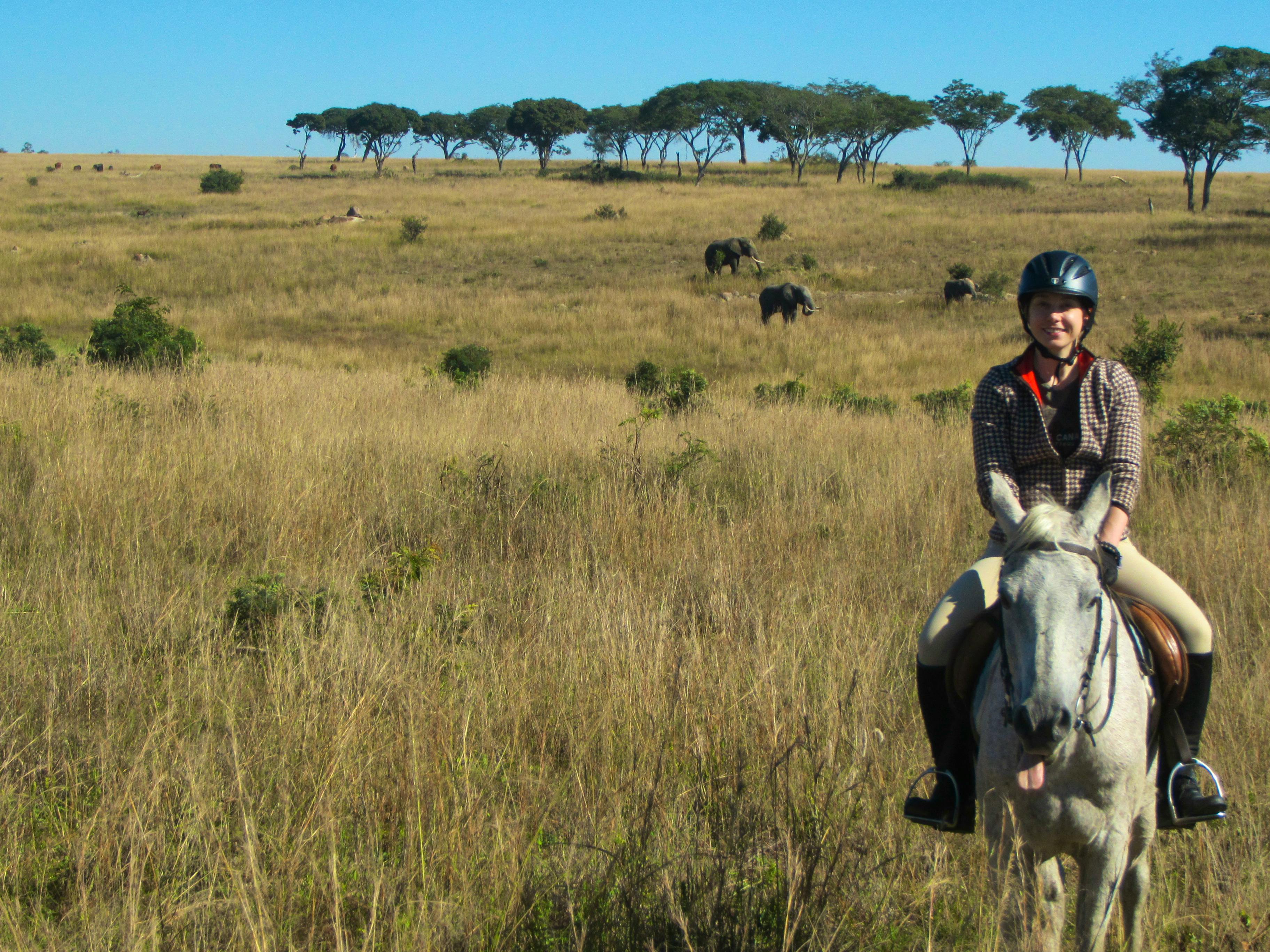 Horse Riding & Wildlife Conservation | Volunteer in Zimbabwe 2023