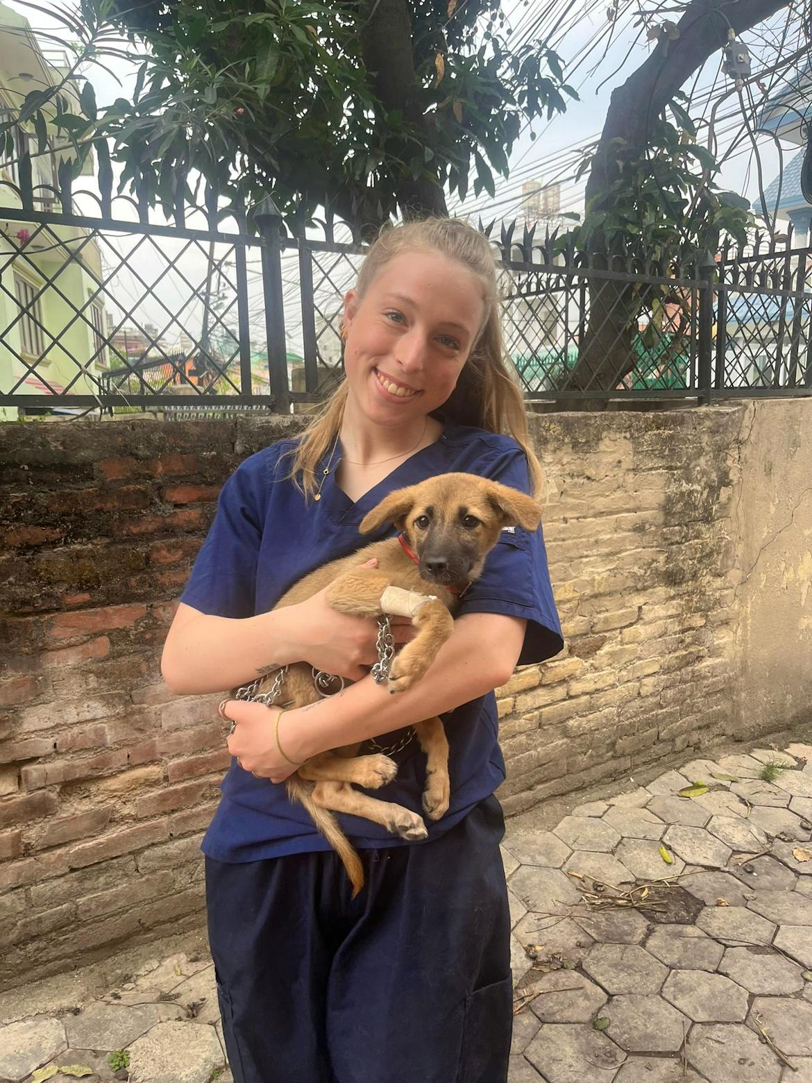 Para-Veterinary Worker | Volunteer in Nepal 2025