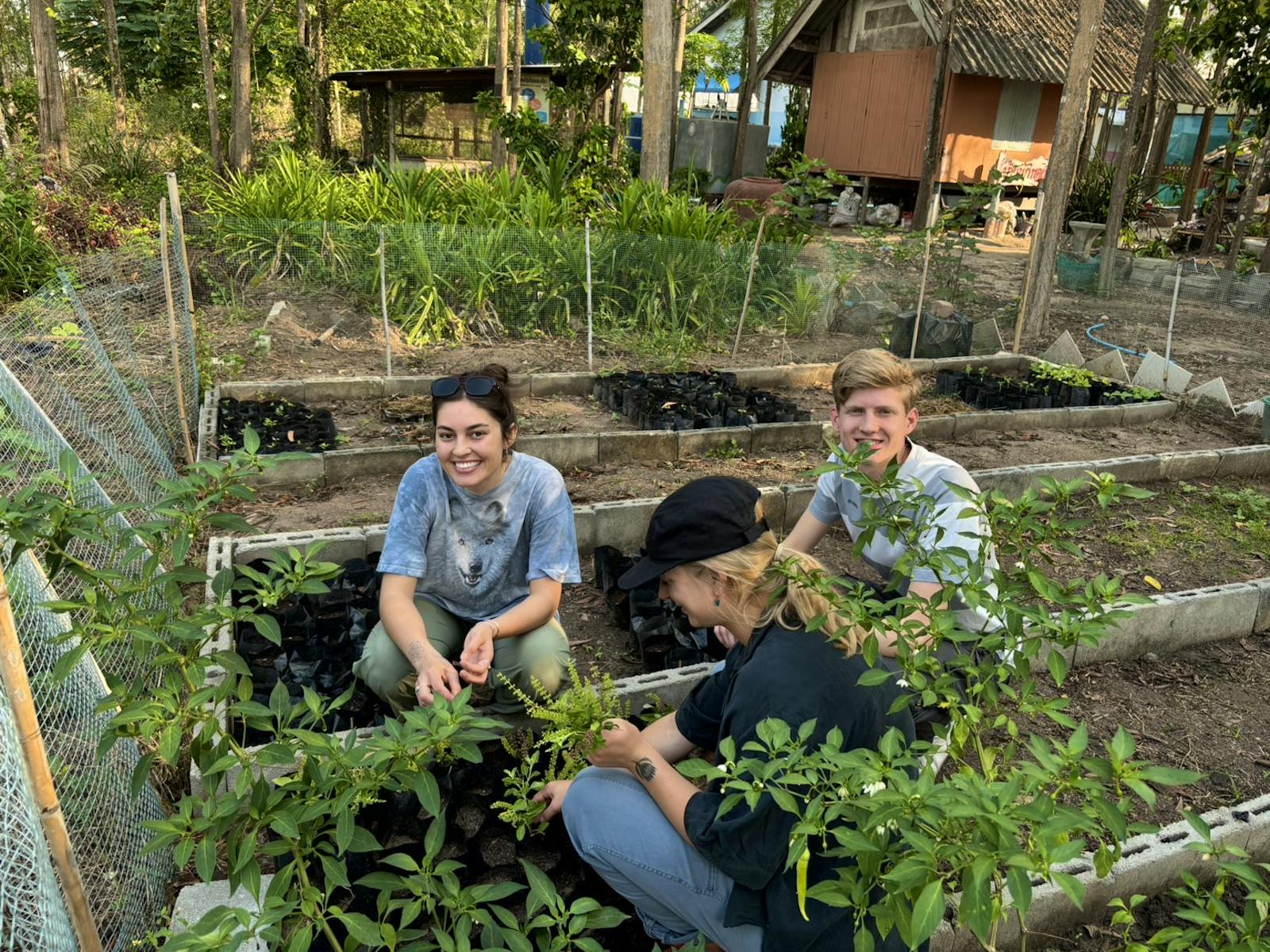 Environmental & Beach Conservation | Volunteer in Thailand 2025