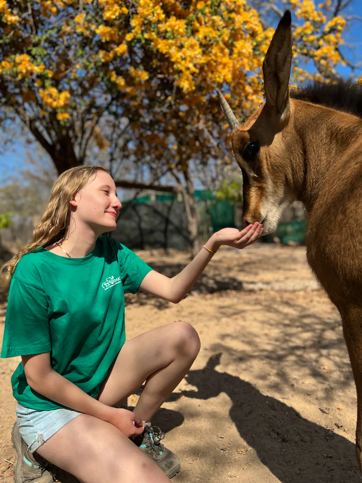 Wildlife Orphanage Animal Manager | Volunteer in South Africa 2025