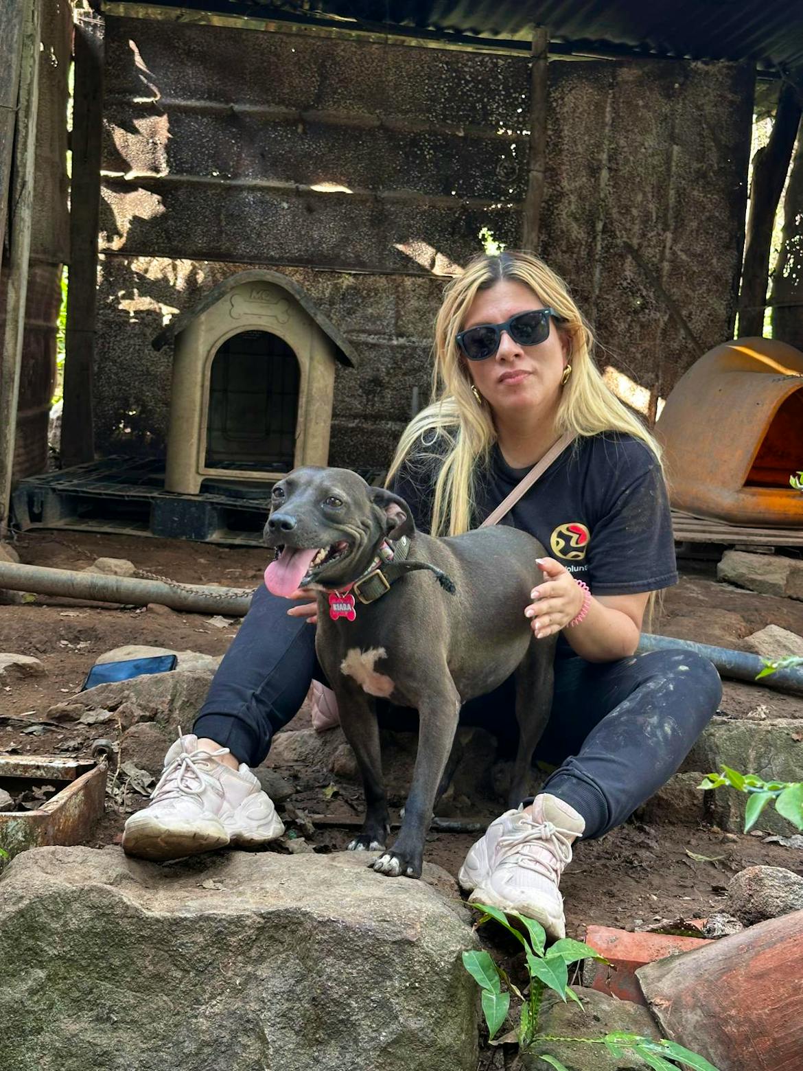 Dogs Cuddling Expert | Volunteer in Colombia 2025