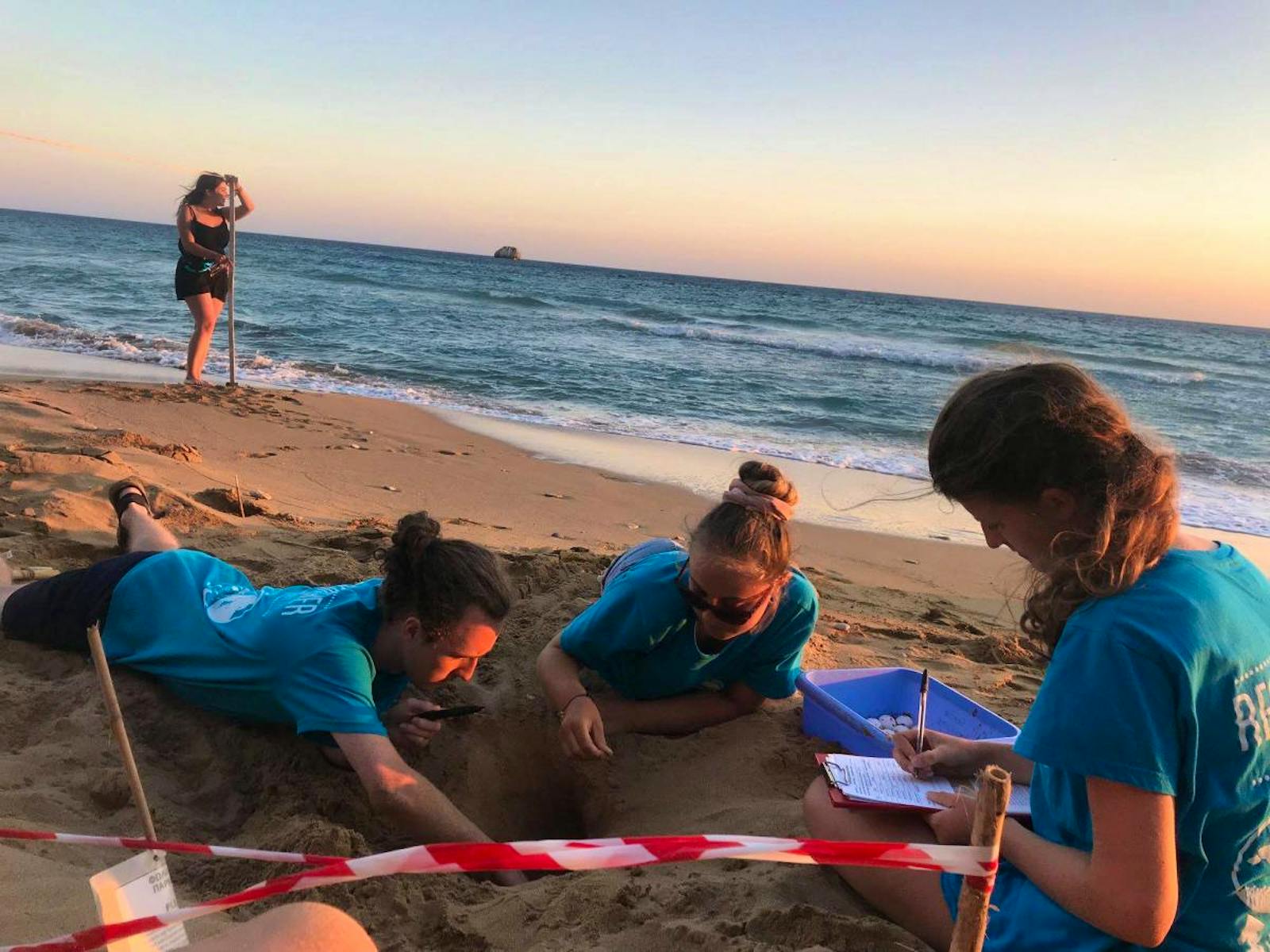 Greece Turtle Conservation Volunteers | Volunteer in Greece 2025