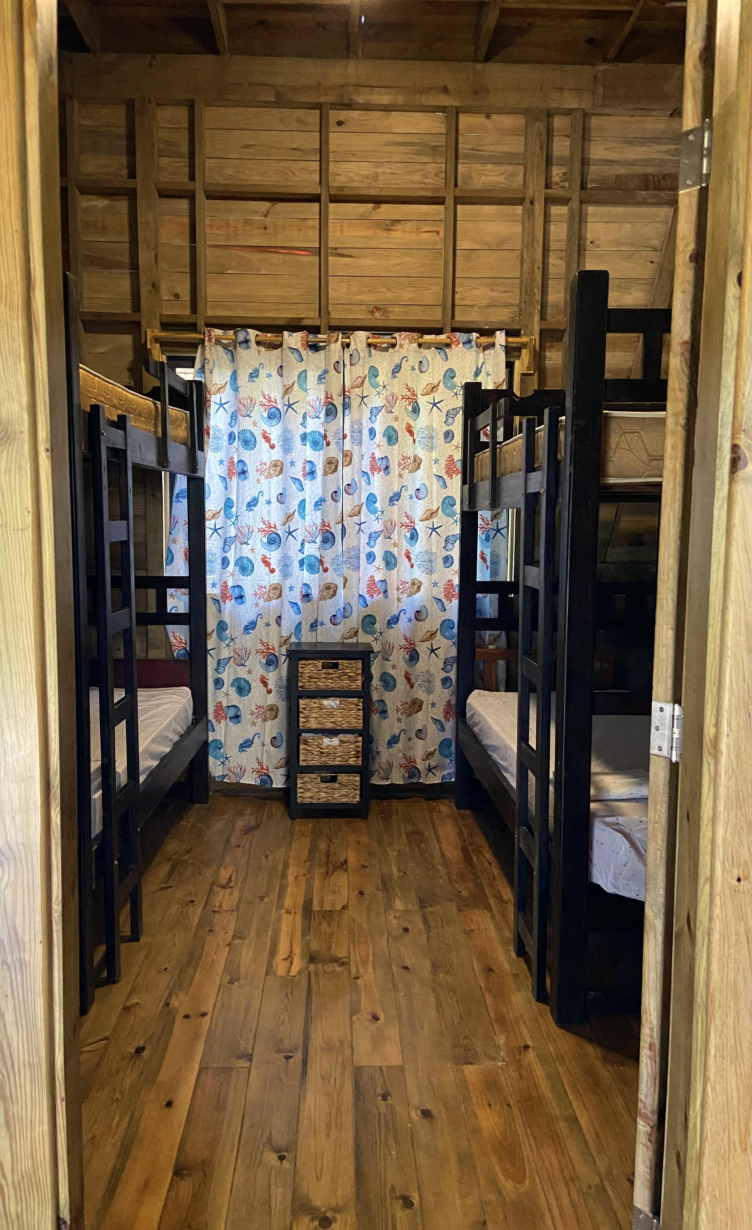 Ankay Conservation | Volunteer Abroad 2025 | Volunteer World