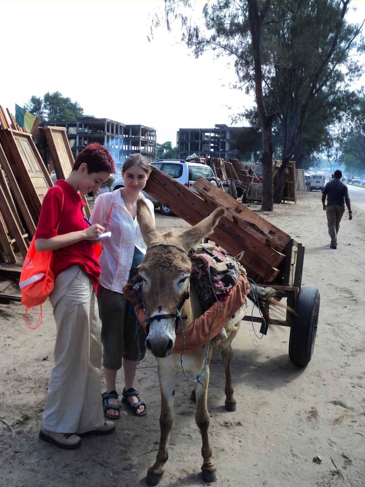 Animal Welfare and Veterinary Medicine | Volunteer in Tanzania 2025