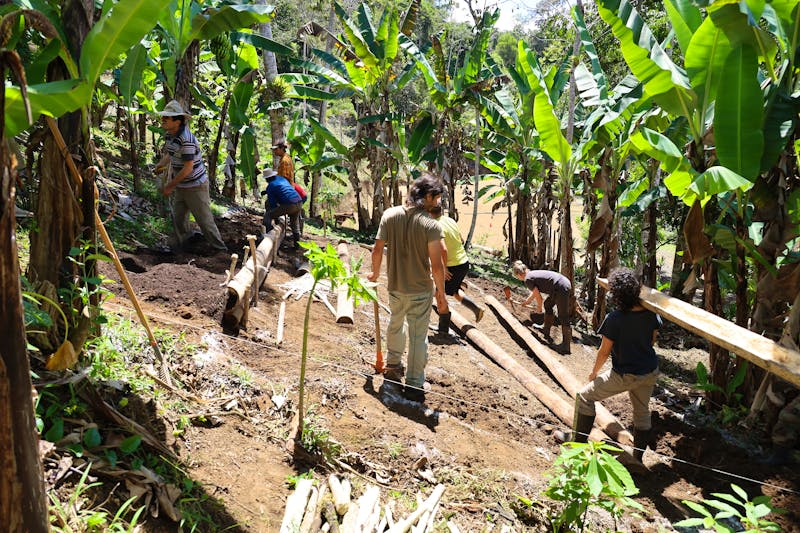 Organic Farming and Building on Eco Lodge | Volunteer in Costa Rica 2025