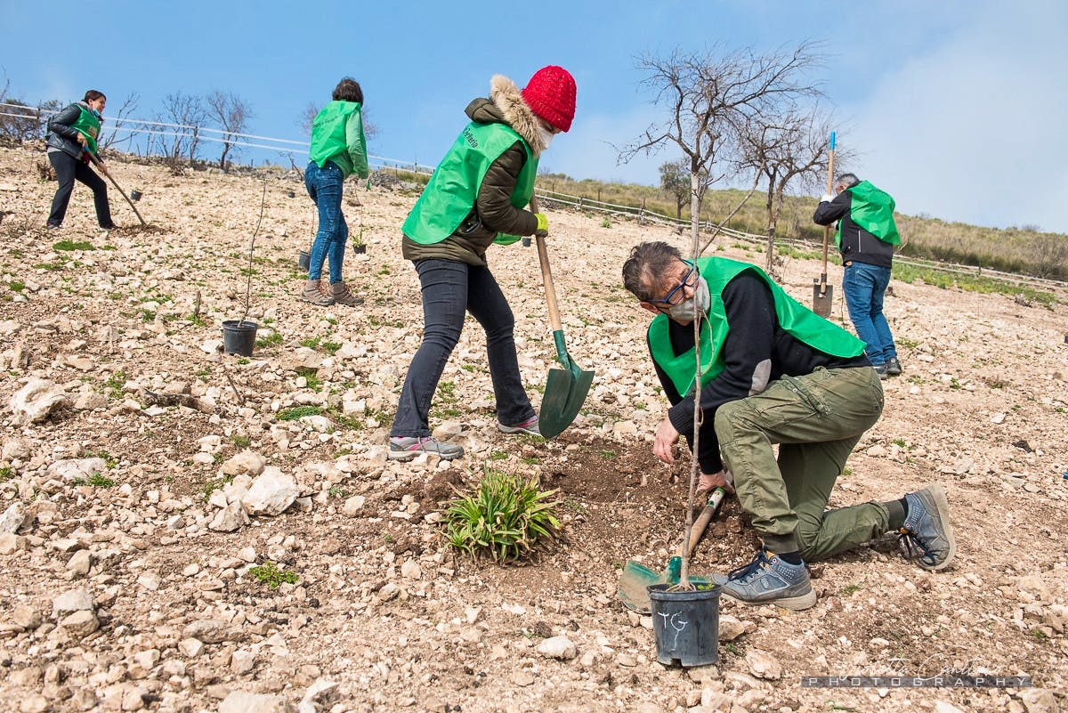 Climate Action Supporter | Voluntariado en Italia 2024