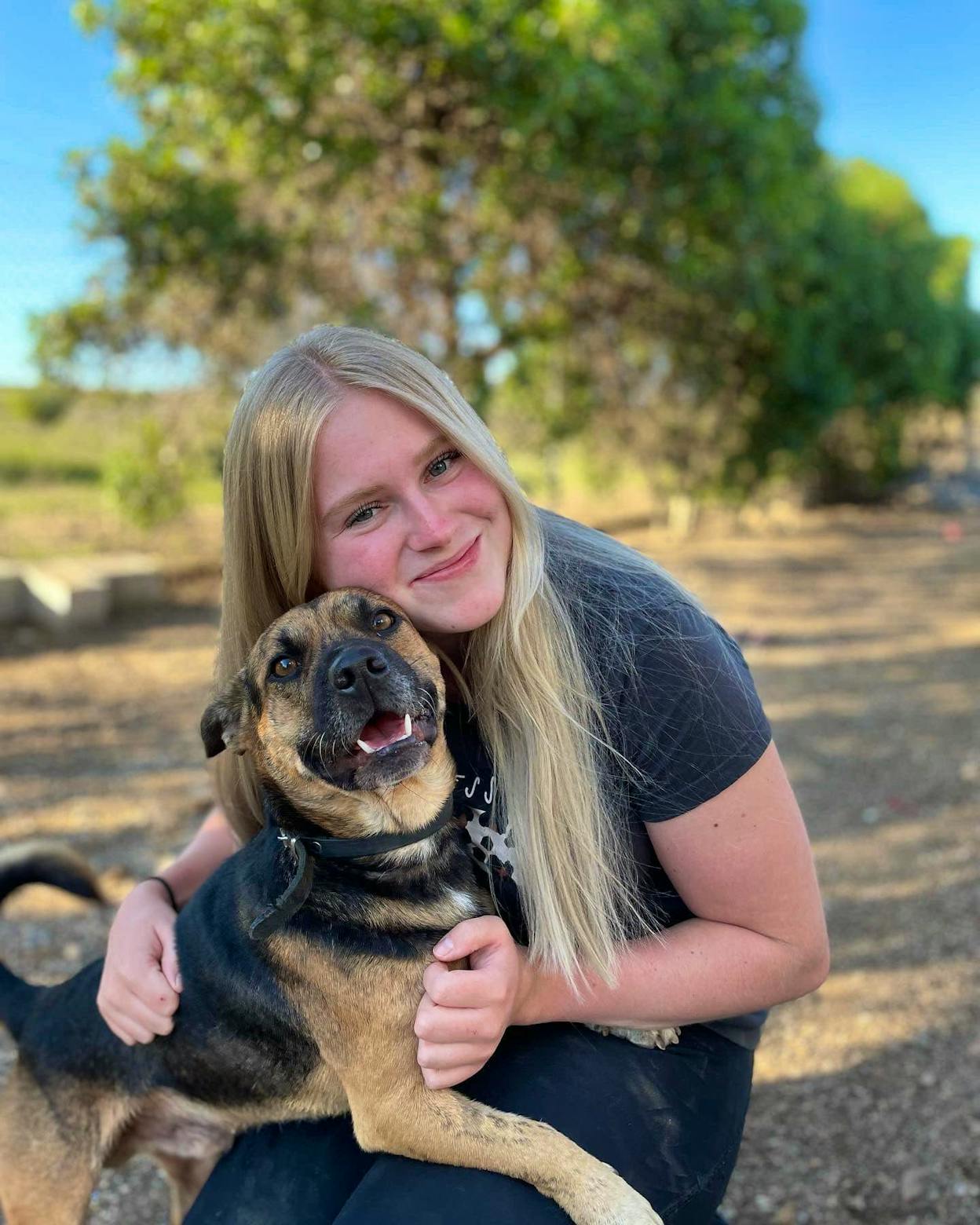 Dog and Cat Shelter Supporter | Volunteer in Spain 2025