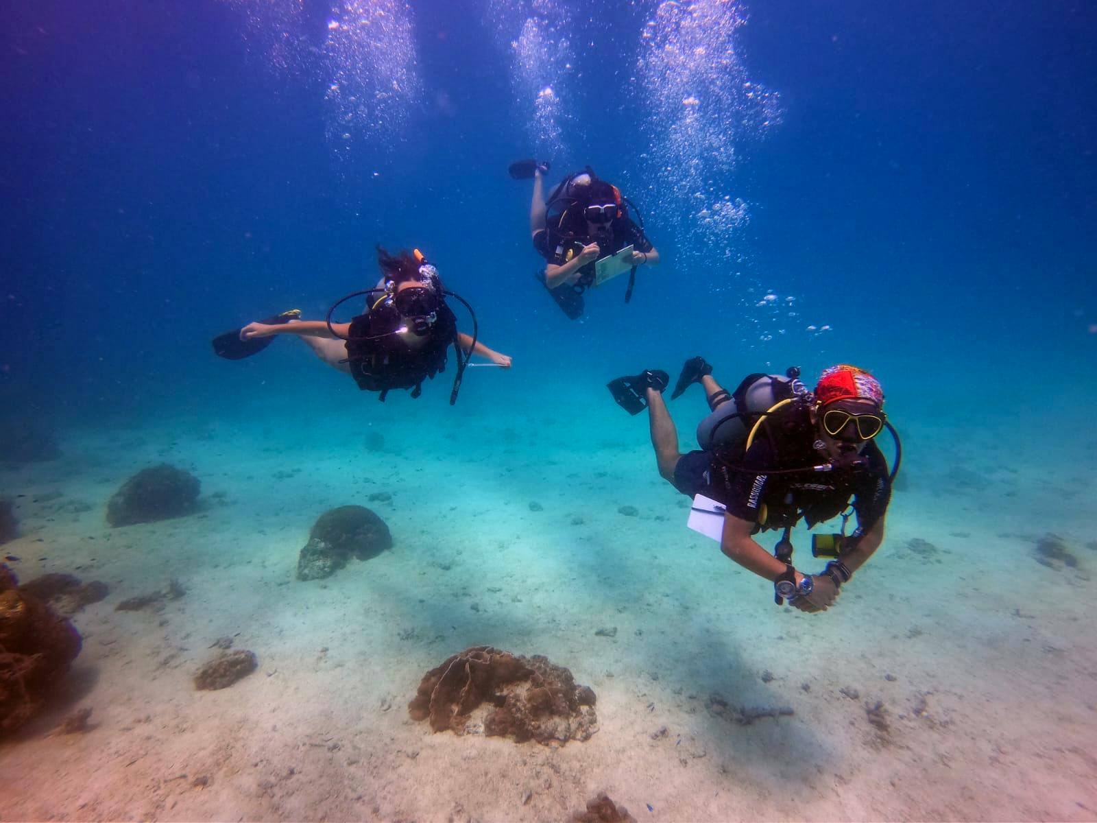 Dive Master | Doe vrijwilligerswerk in Thailand 2026