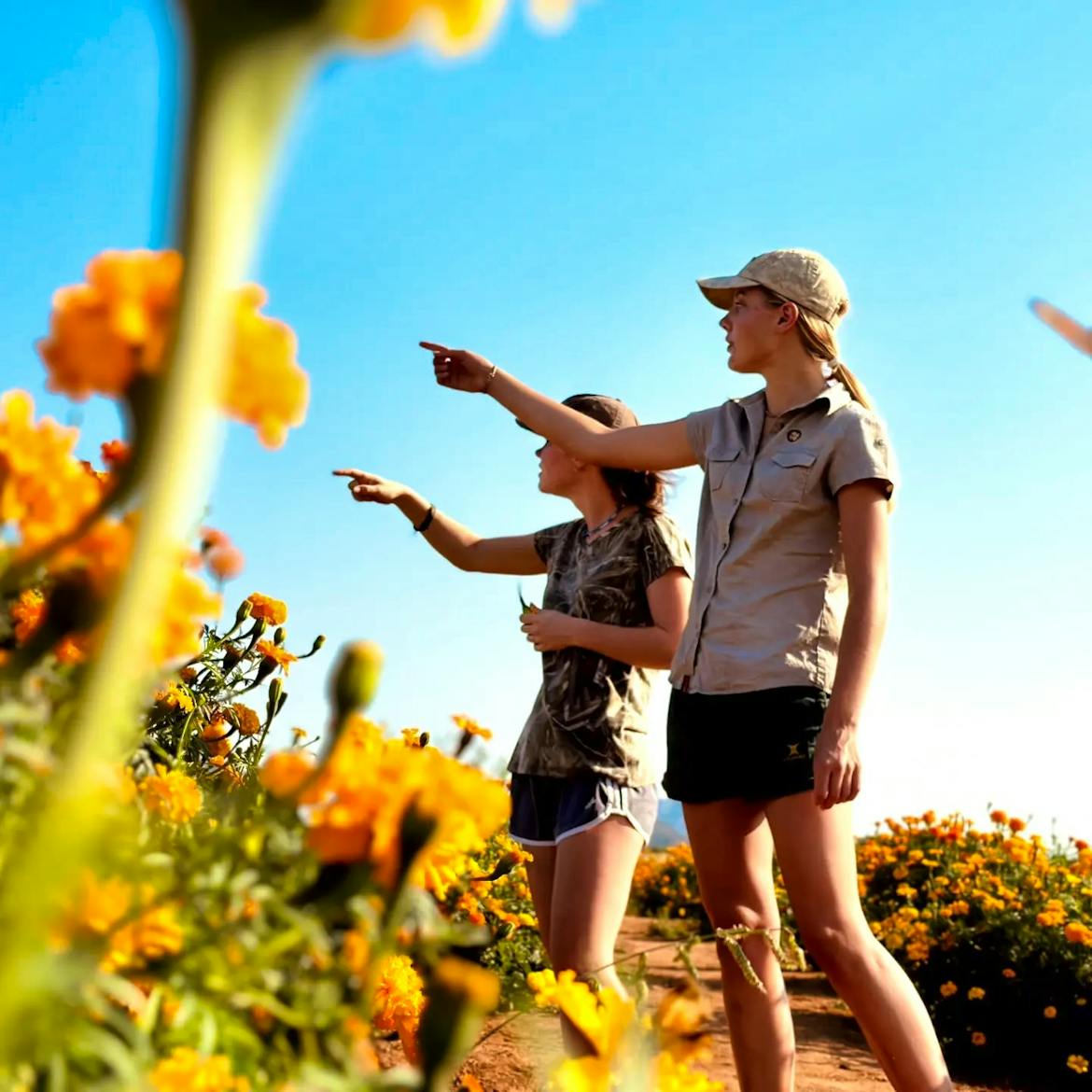 Wild Farming Helper | Volunteer in Zimbabwe 2024