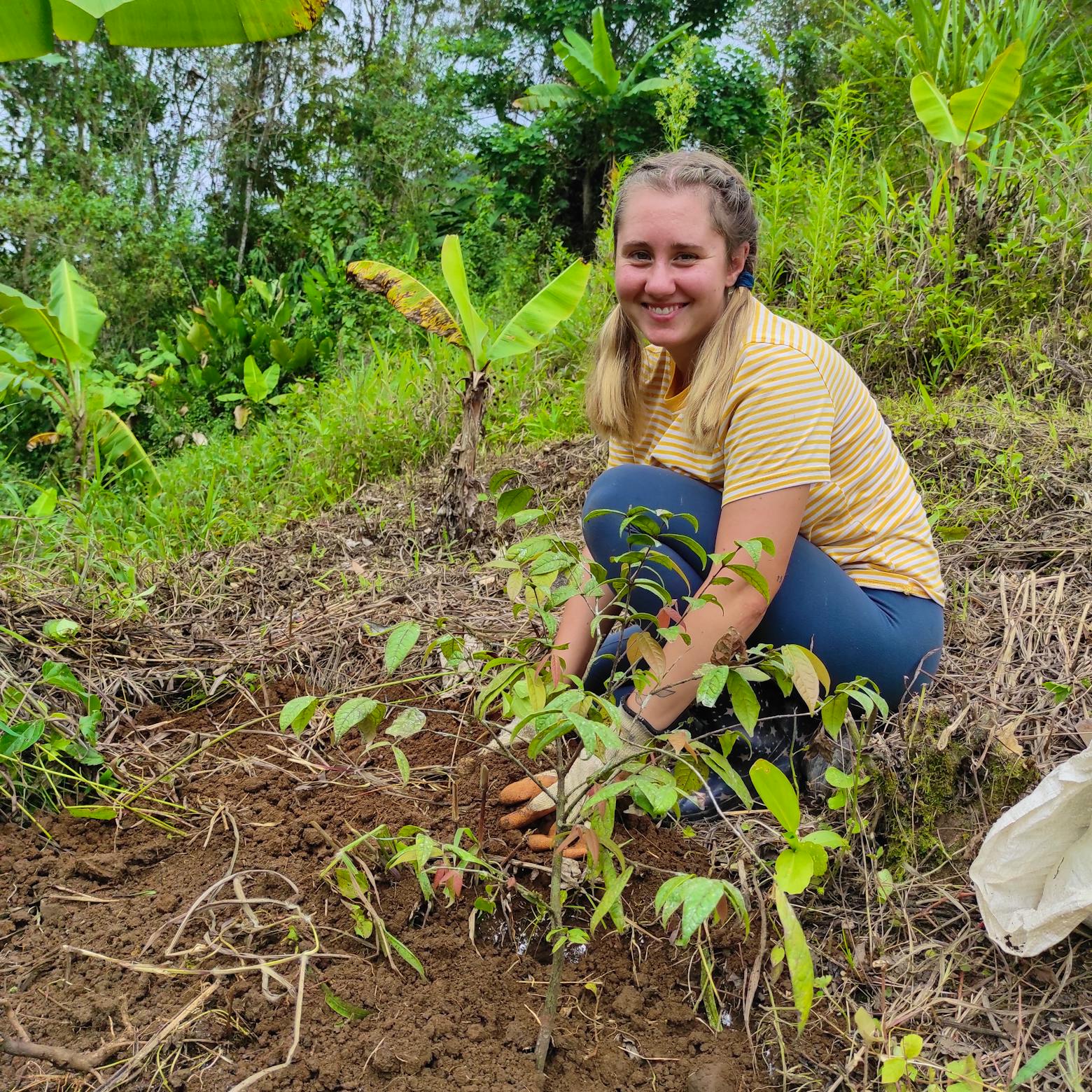 Off-Grid Permaculture & Community | Volunteer in Costa Rica 2025