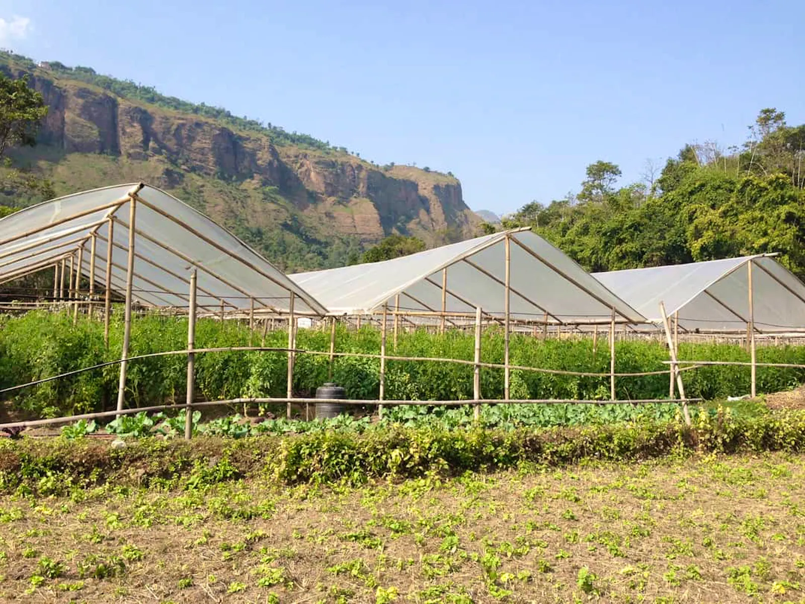 3 Weeks Farm working & 1 week Annapurna Trek | Volunteer in Nepal 2025