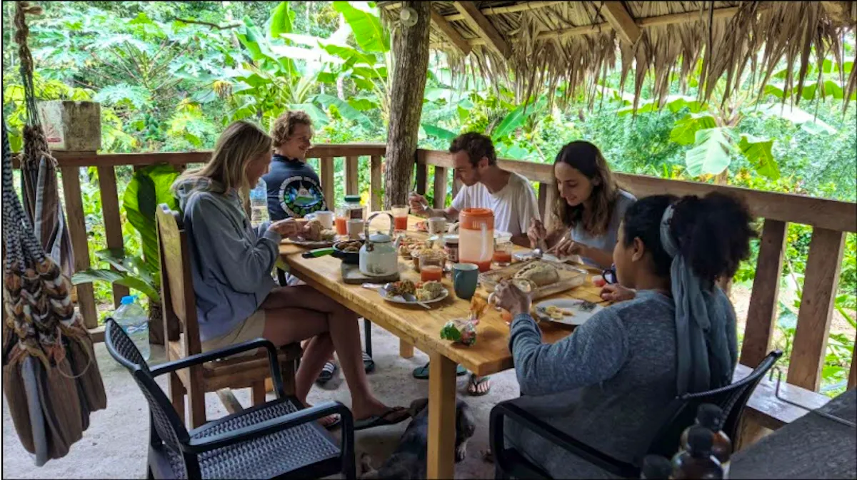 Sea Turtle Protection & Rainforest Preservation | Volunteer in Ecuador 2025