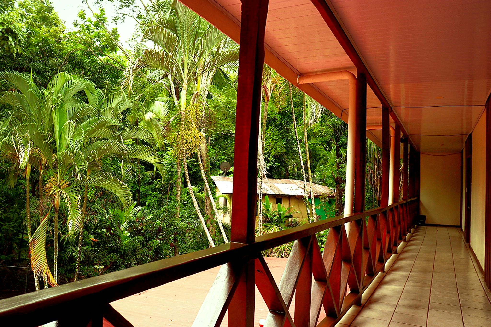 Tambor Bay Turtles | Volunteer Abroad 2025 | Volunteer World