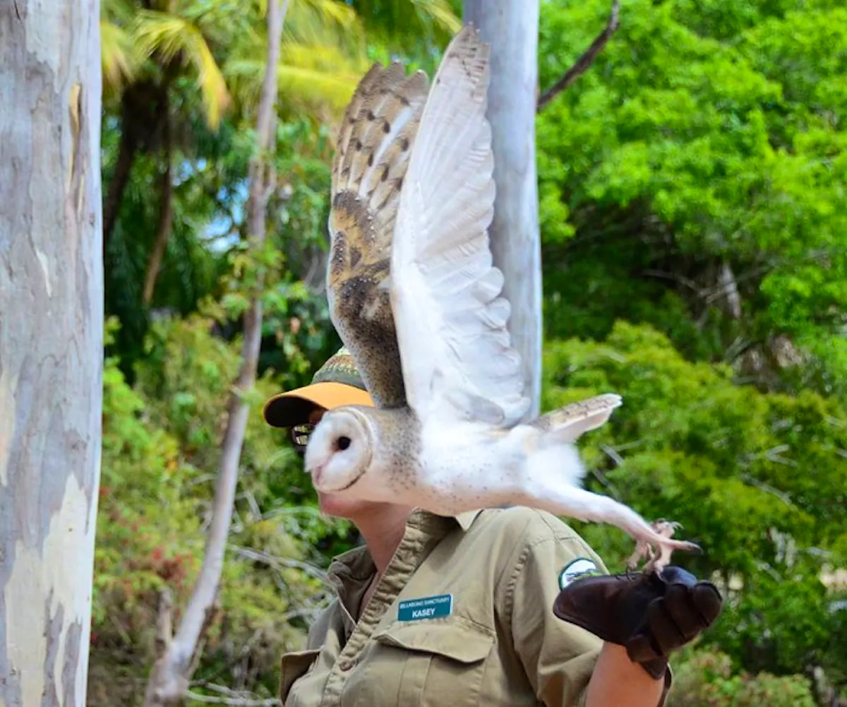 Zoo and Animal Caretaker | Volunteer in Australia 2025