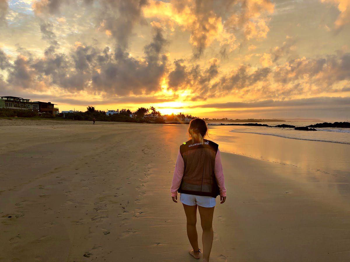 Field-Based Applied Conservation Internship | Volunteer in Ecuador 2025