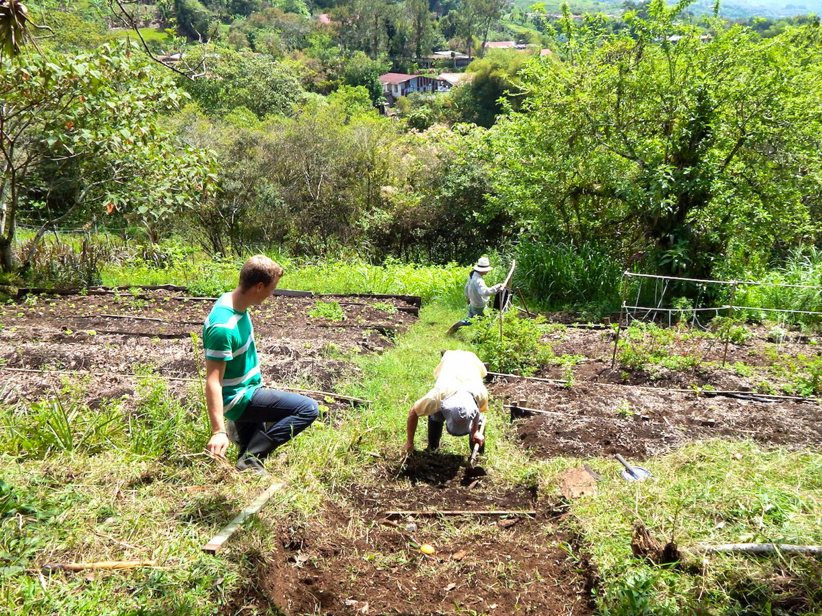 Agroecological Farming | Volunteer in Costa Rica 2025