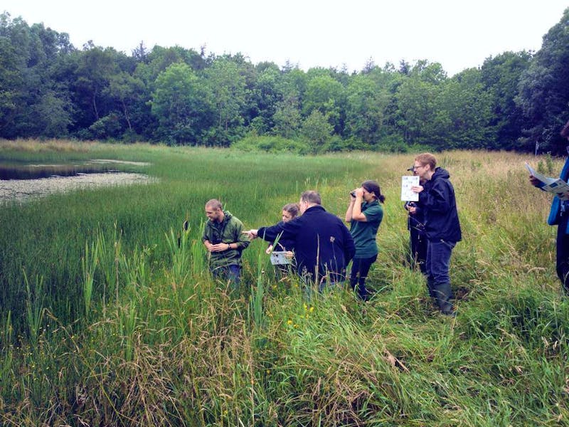 Wilderness Conservation Field Researcher | Volunteer in the United ...