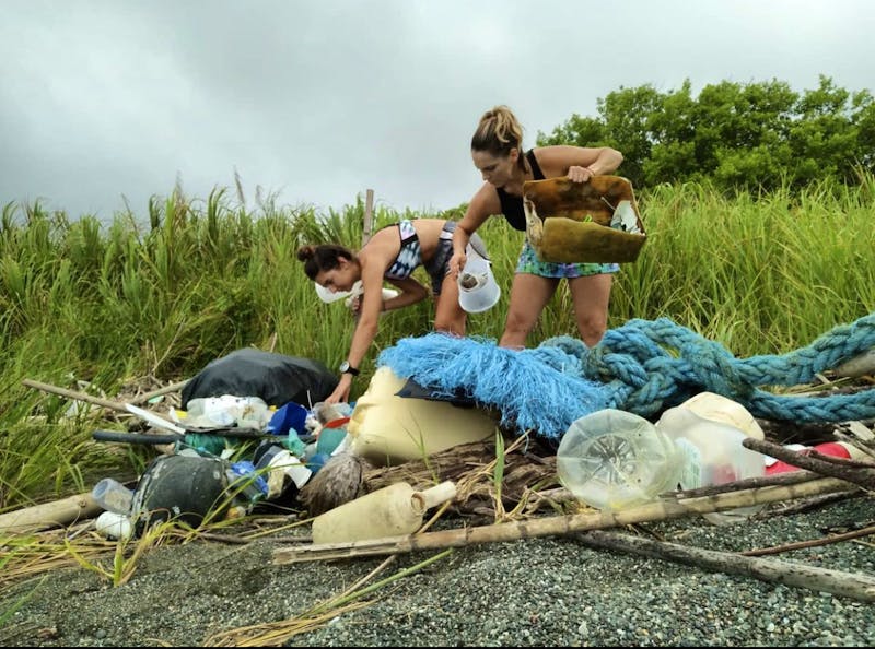 Sea Turtle Biologist | Volunteer in Costa Rica 2025