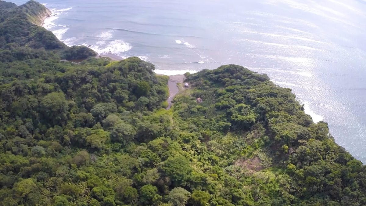 Sea Turtle & Rainforest Conservation | Voluntariado na Equador 2023