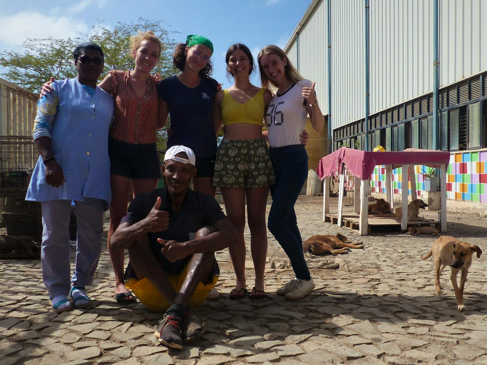 Internship for Vet Students & Newly Graduated Vets | Volunteer in Cape ...