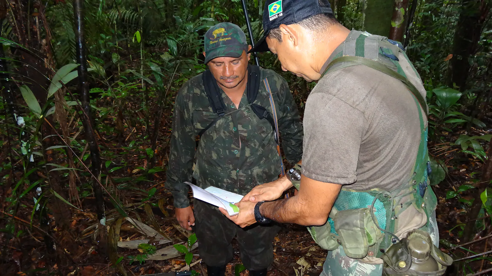 Amazon Survival Tour Guide | Volunteer in Brazil 2025
