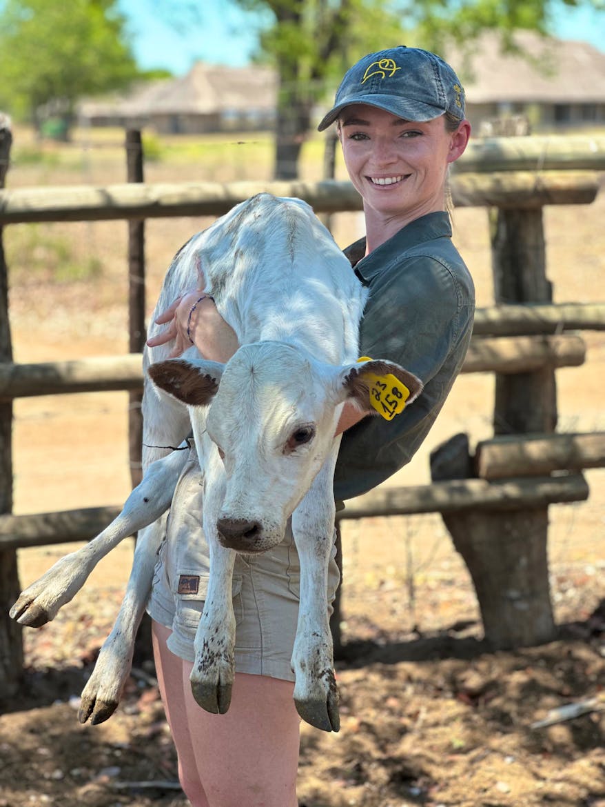 Wild Farming Helper | Volunteer in Zimbabwe 2024