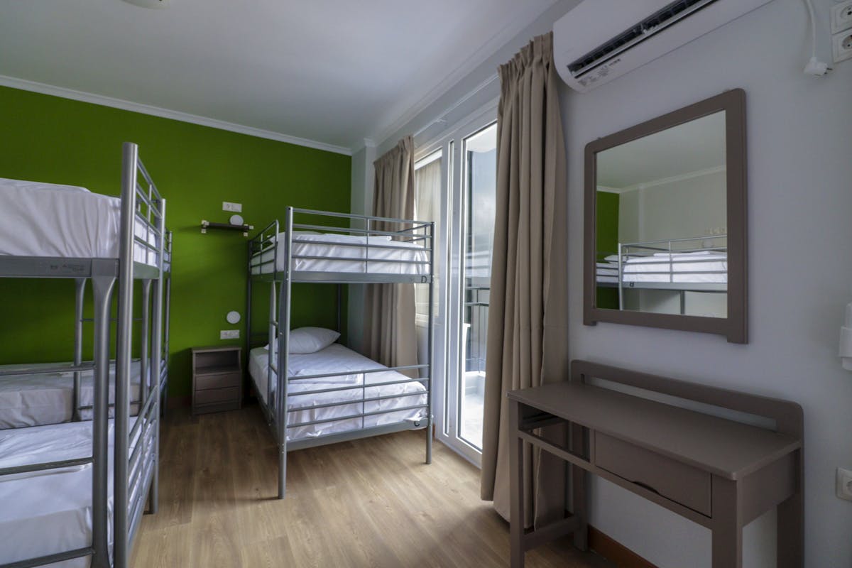 Animal Shelter Assistance | Volunteer in Greece 2025