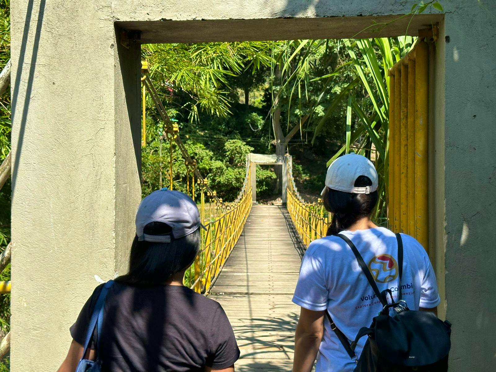 Dogs Cuddling Expert | Volunteer in Colombia 2025