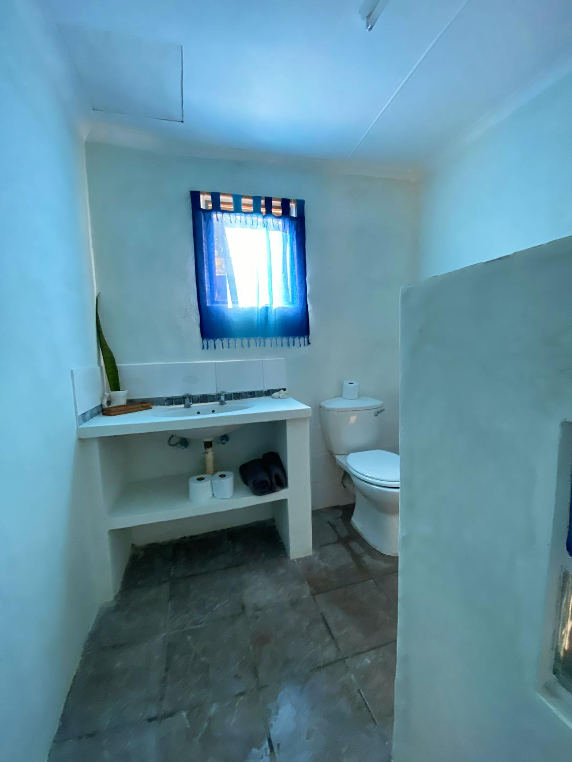 Short-Term Dolphin Care Assistant | Volunteer in Mozambique 2025