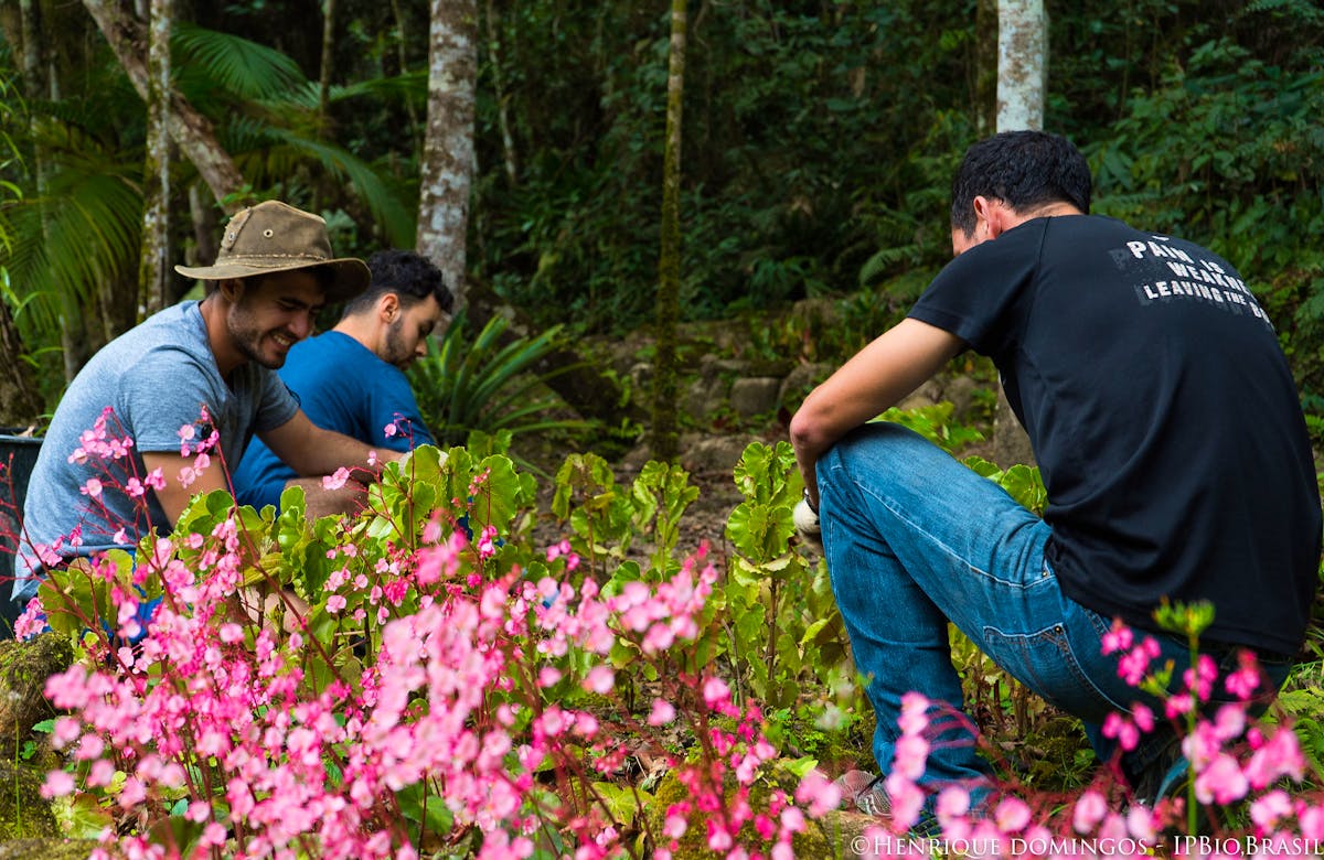 Animal Release Center: Reserve Maintenance | Volunteer in Brazil 2025