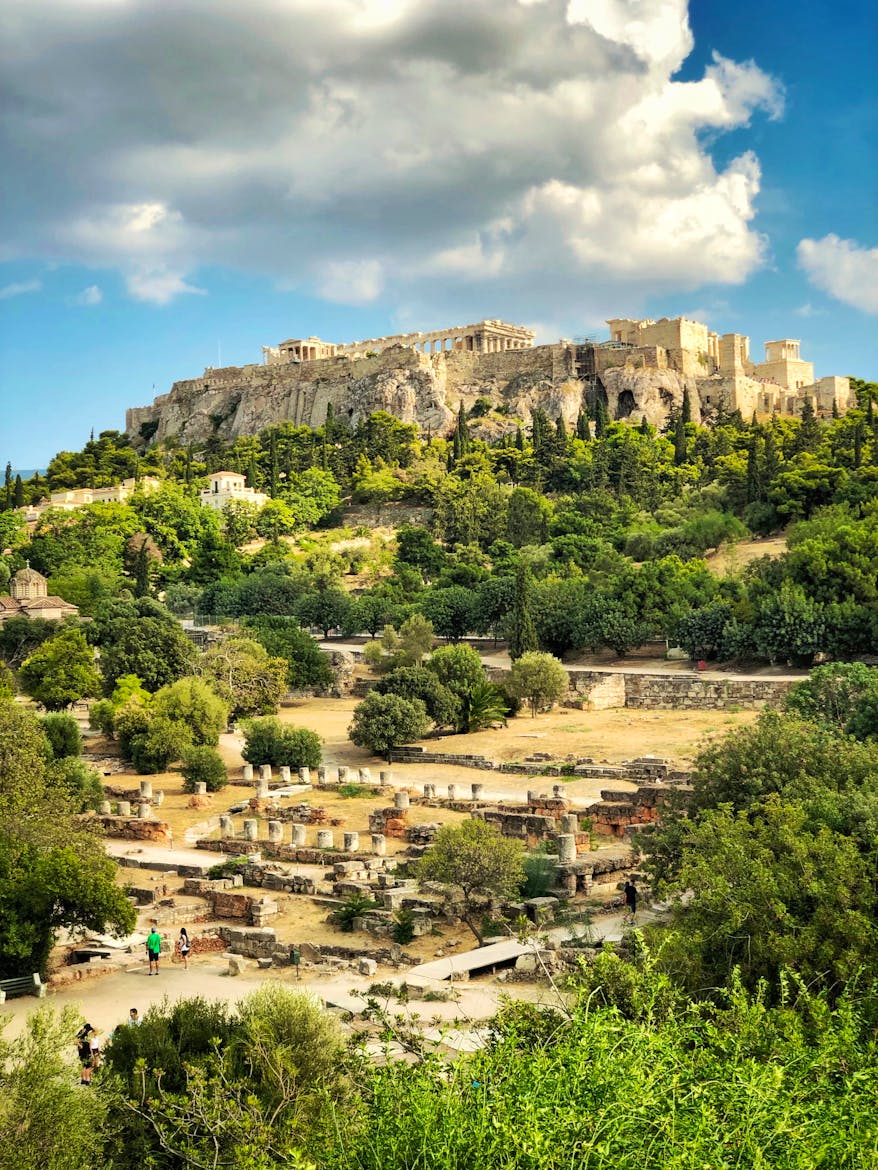 Animal Shelter Assistance | Volunteer in Greece 2025