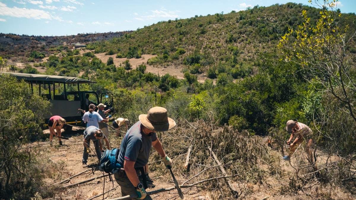 South Africa Wildlife Reserve Volunteers | Volunteer in South Africa 2025