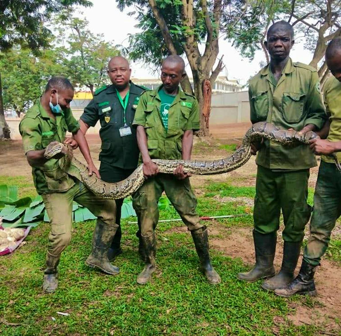 Animal Care Supporter | Volunteer in Ghana 2025