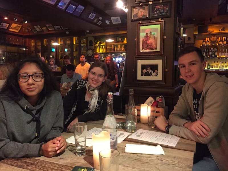 Animal Rescue & Community Development Helper | Volunteer in Ireland 2025