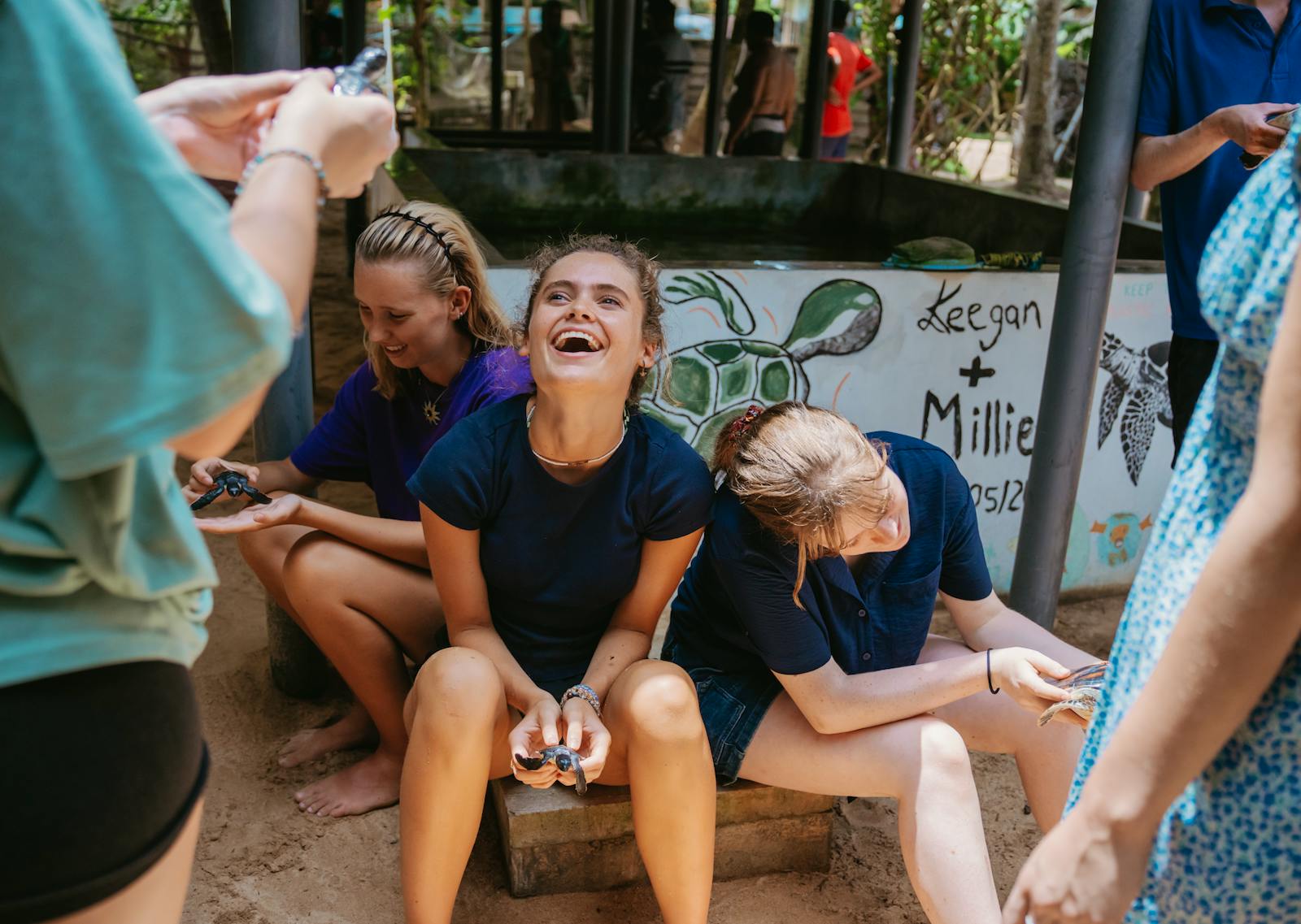 Turtle Conservation Volunteer in Sri Lanka | Volunteer in Sri Lanka 2025