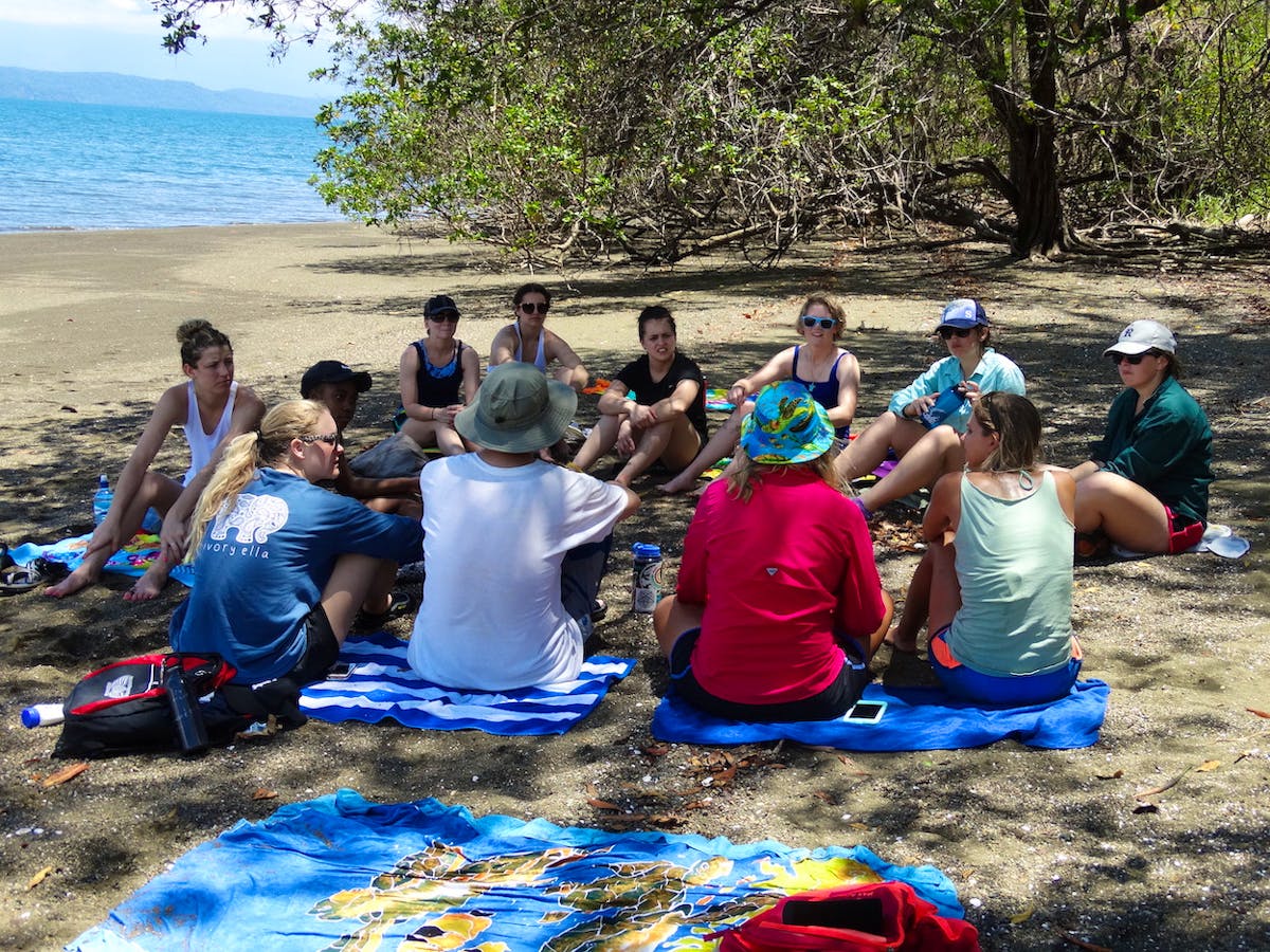 Sea Turtle Guardian | Volunteer in Costa Rica 2024