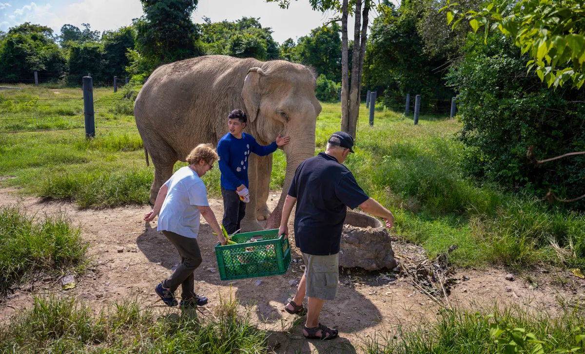 Endangered Elephant Refuge | Volunteer in Thailand 2025