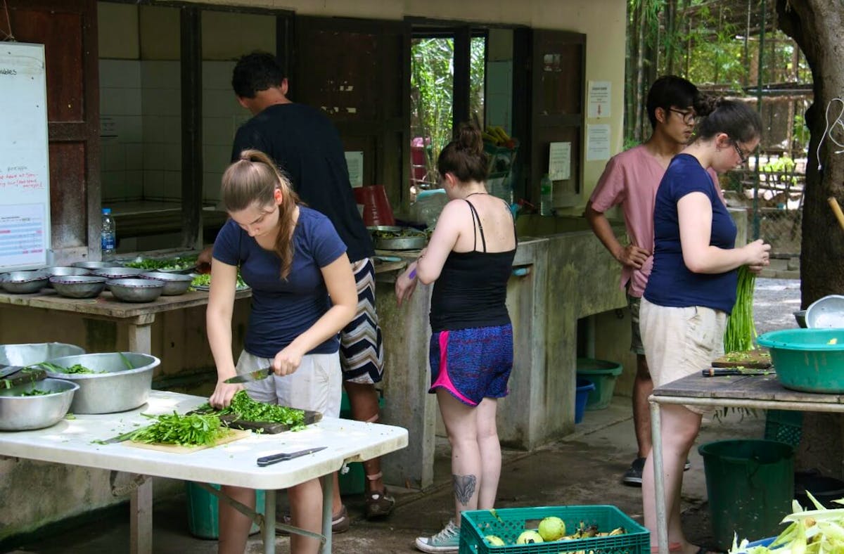 Wildlife Conservation Worker | Volunteer in Thailand 2025