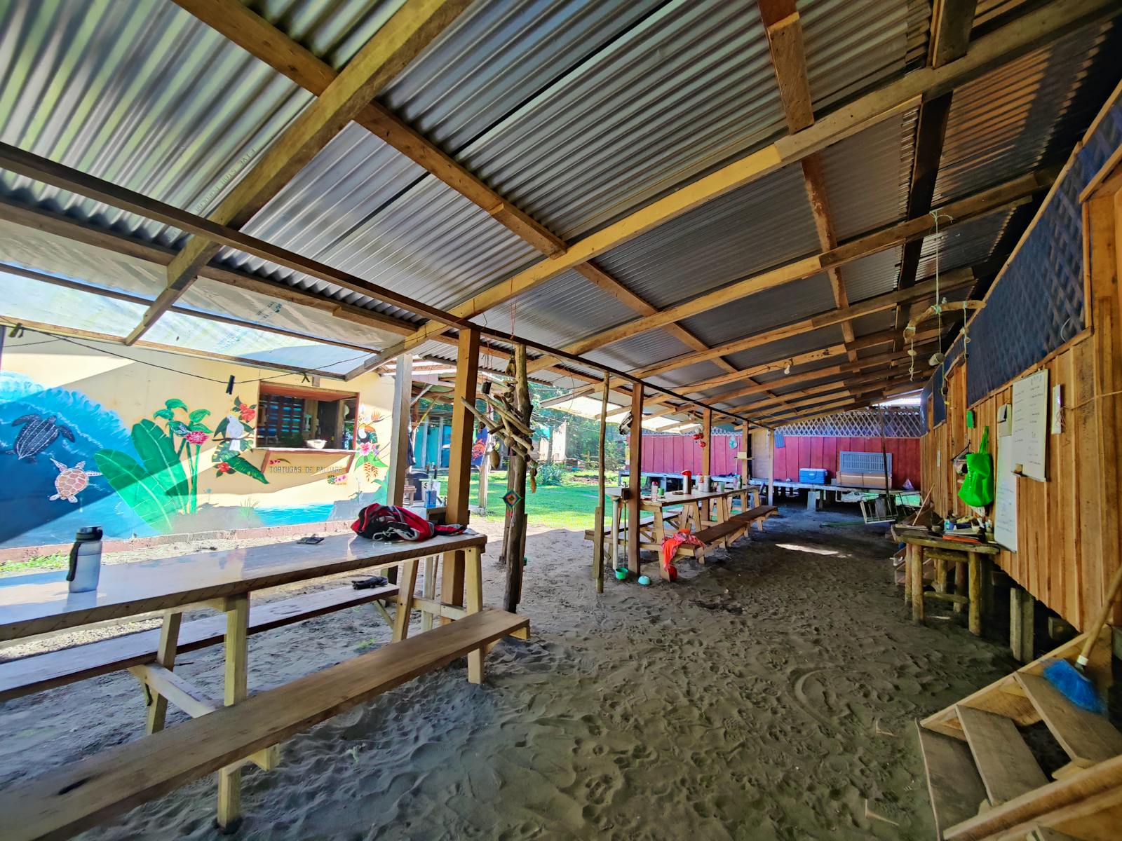 Turtle Conservation Camp Supporter | Volunteer in Costa Rica 2025