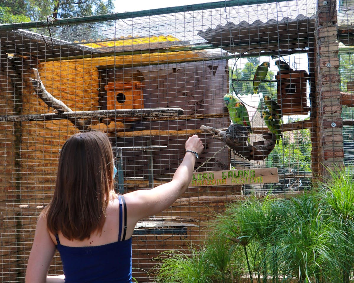 Caretaker of Several Bird Species | Volunteer in Bolivia 2025