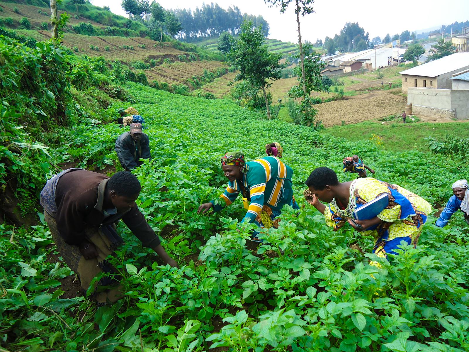 Community Empowerment Assistant | Volunteer in Rwanda 2025