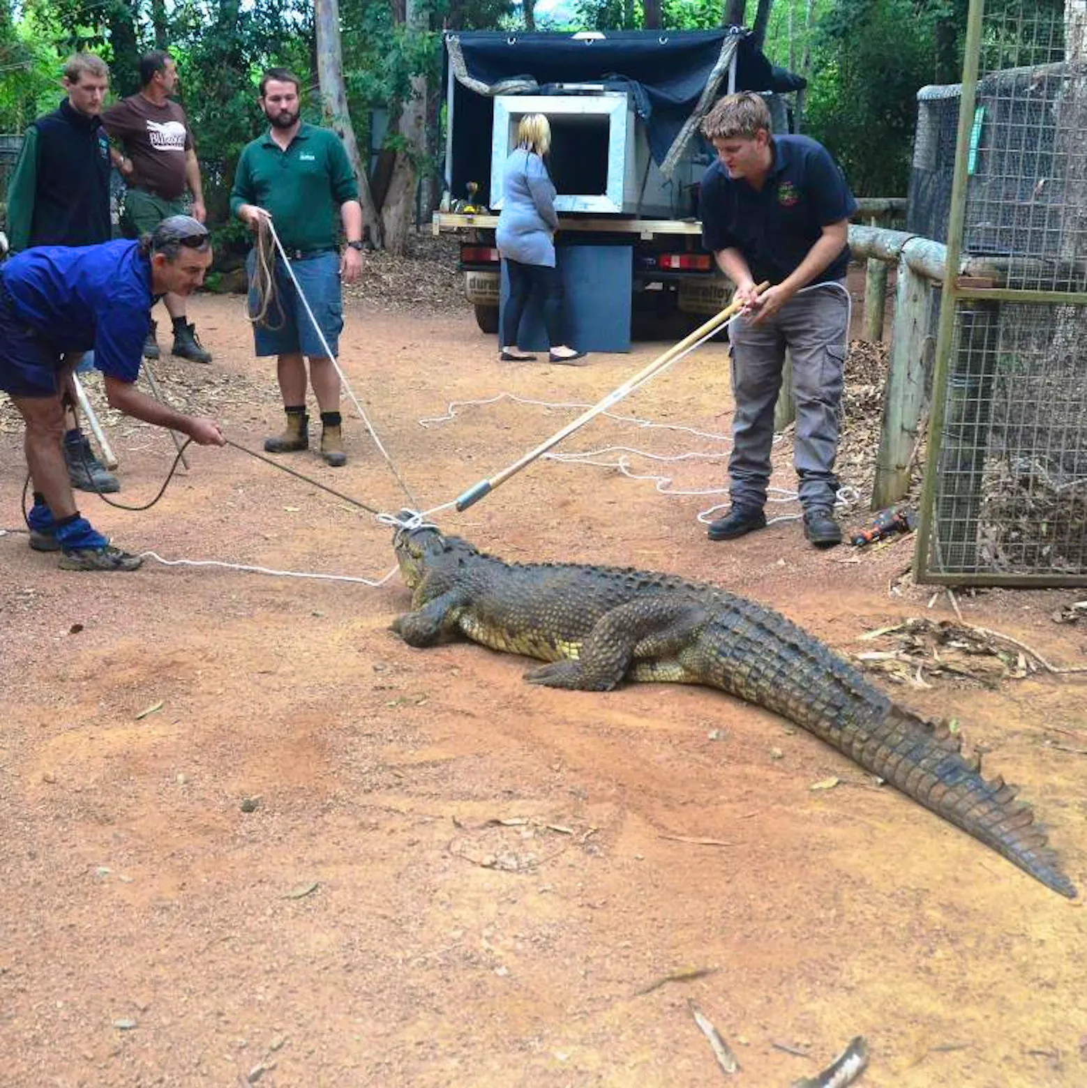 Zoo and Animal Caretaker | Volunteer in Australia 2025
