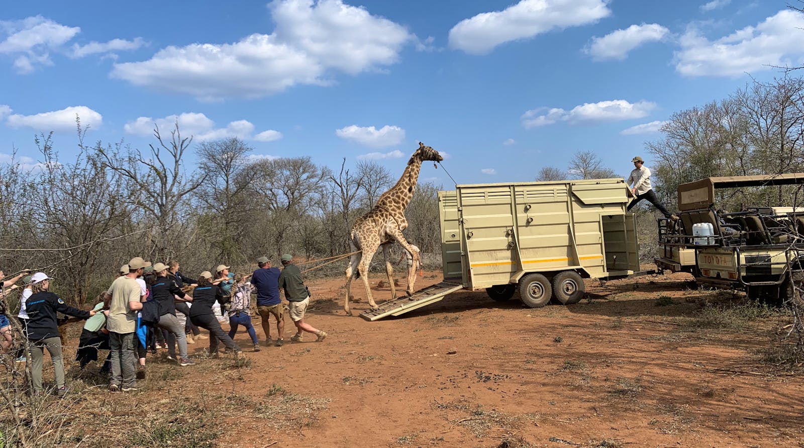 Scout Ranger Trainee | Volunteer in South Africa 2025