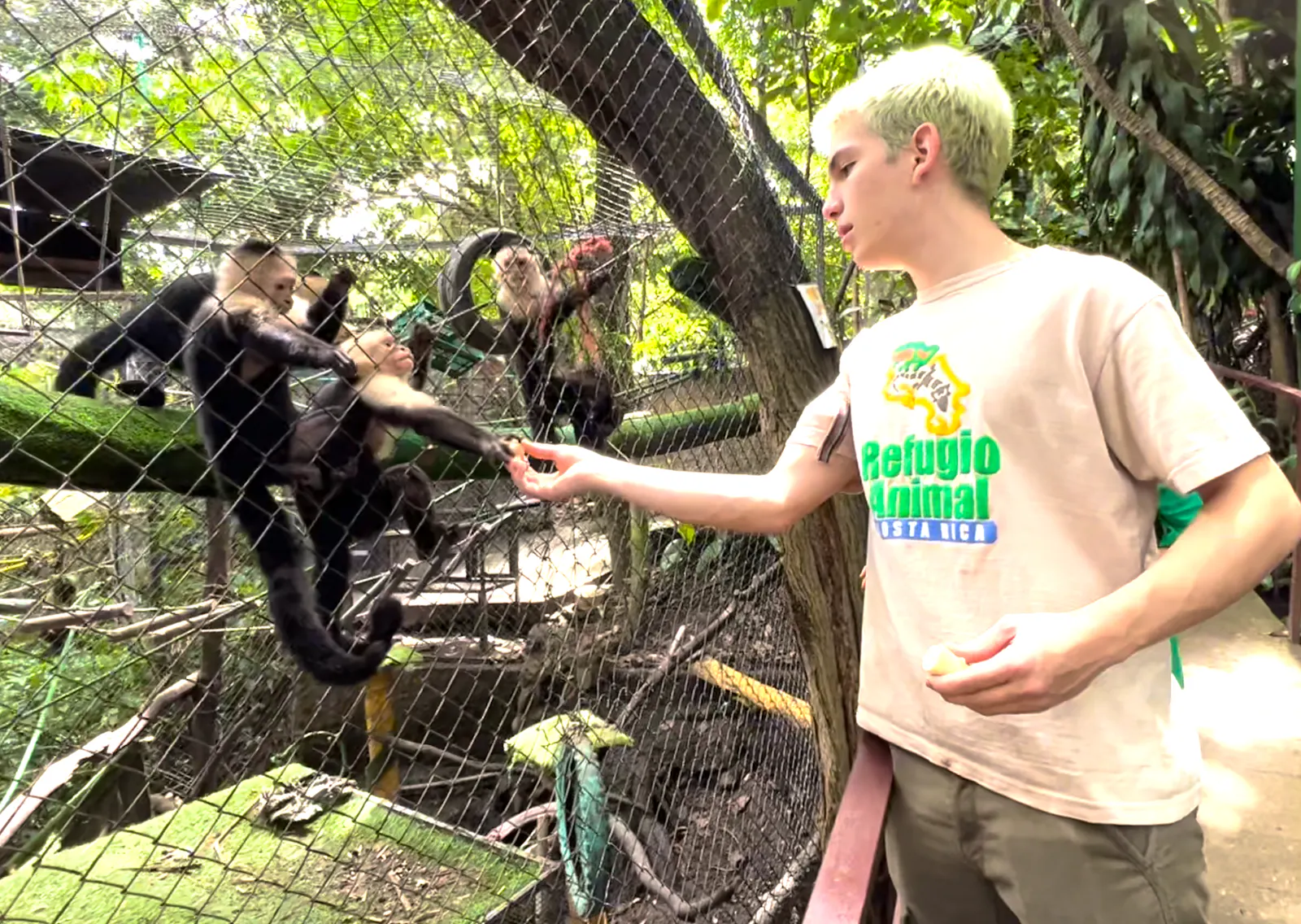 Animal Keeper Assistant | Voluntariado en Costa Rica 2025