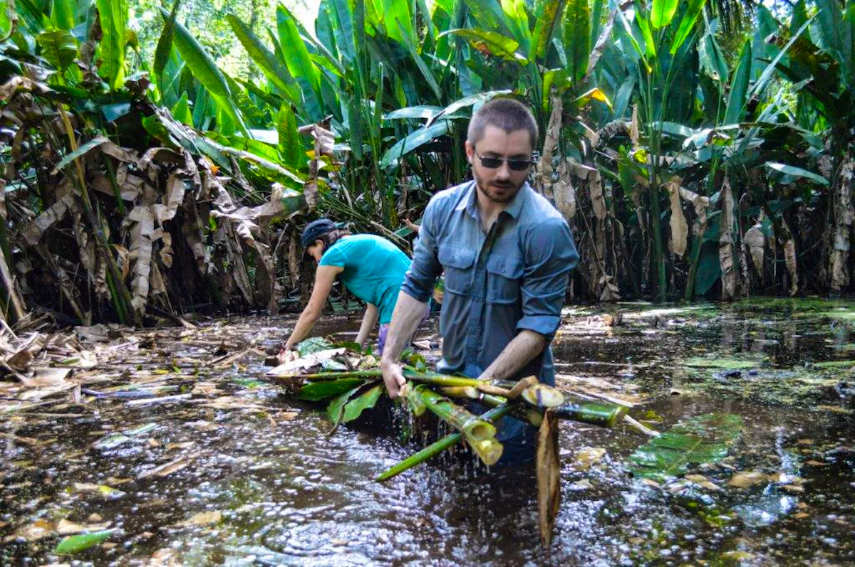 Amazon Rain Forest Conservation | Volunteer in Peru 2025